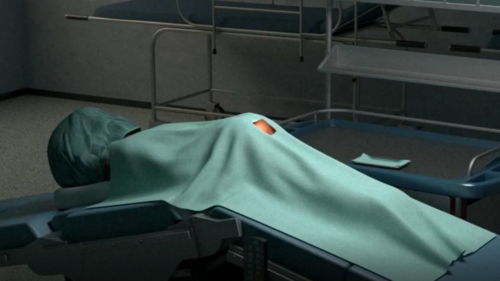 Legal Graphics: Present Your Argument With Compelling Visuals